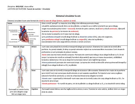 Sistemul Circulator La Om Pdf
