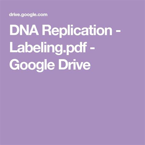 Dna Replication Labeling Pdf