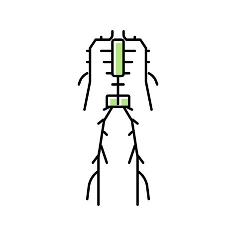 Lymphatic System Color Icon Vector Illustration 19001920 Vector Art At