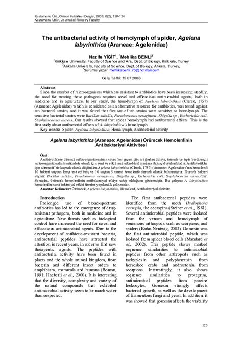 Pdf The Antibacterial Activity Of Hemolymph Of Spider Agelena Labyrinthica Araneae Agelenidae