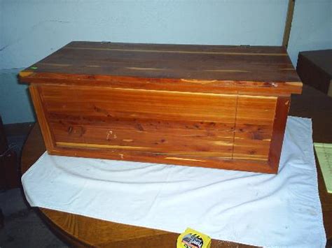 Cedar Trunk