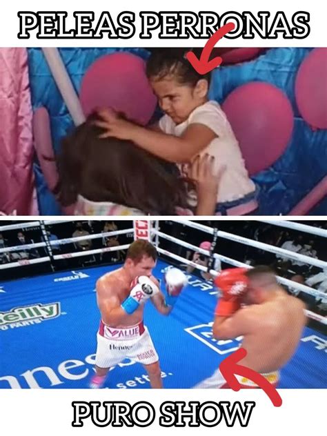 Los mejores memes de la victoria del Canelo Álvarez contra Jermell Charlo en Las Vegas Infobae