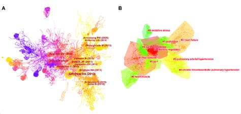 Map Analysis Of Co Cited References To Sgc Stimulators In Download Scientific Diagram