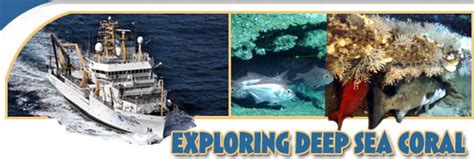 2010 Coral Deep Sea Cruise East Coast