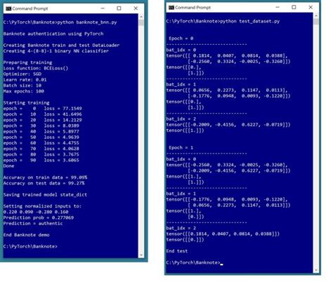 Binary Classification Using Pytorch Preparing Data James D Mccaffrey