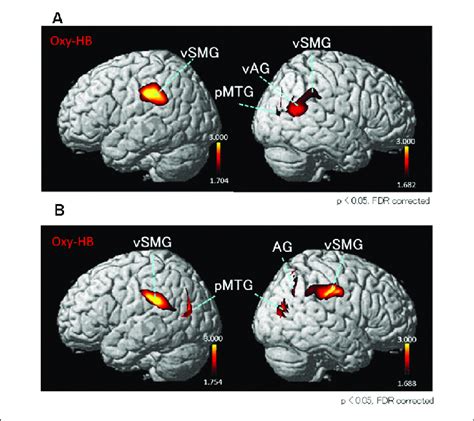 t statistical maps of the group statistical analyses in oxy hb data
