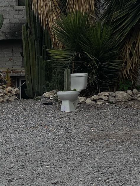 Brenda Rivera Bren Rivera • Threads Say More