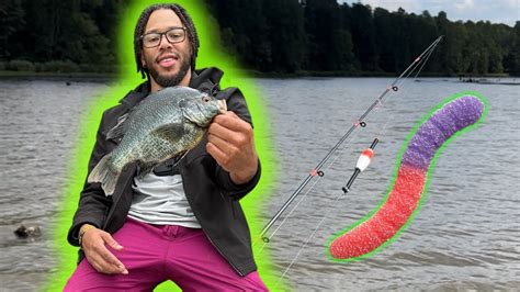 Giant Shellcracker On Worms And Slip Corks For Days Youtube