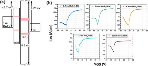 A Theoretical Band Alignment Between Mos2 Hbn And Its Defect Bands