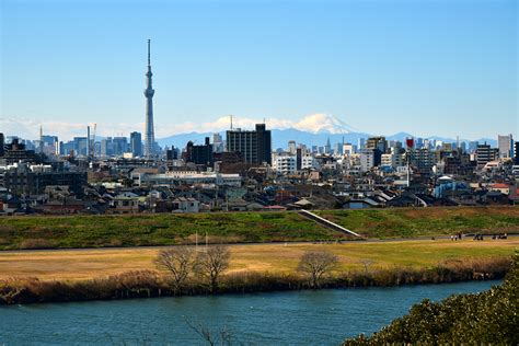 国府台城 千葉県市川市 の見どころアクセスなどお城旅行と歴史観光ガイド 攻城団