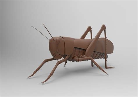 Grasshopper 3d Model 3d Printable Cgtrader