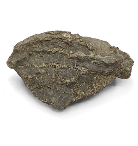 Fossils For Sale Fossils Pteranodon Pterosaur Bone From