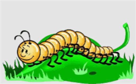 Dnevna Doza Humora Mala Stonoga Bl Portal