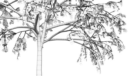 Free Gentree 105 Generic Tree 105 3d Model Turbosquid 2062795