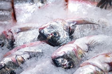 Free Photo Showcase With Chilled Fish In Grocery Store Close Up
