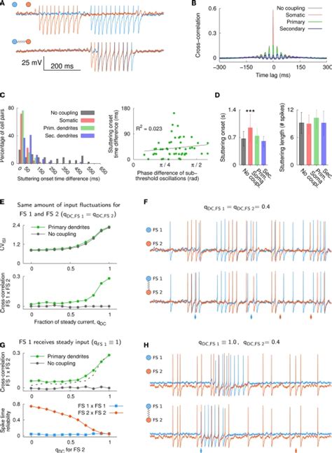Synchronization Of Suprathreshold Spiking Activity In The Neuron Model Download Scientific