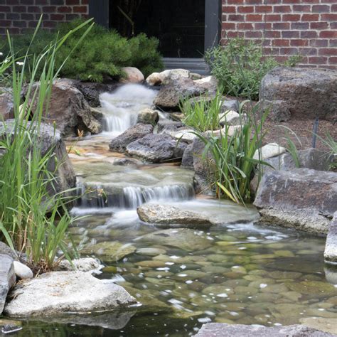 Comet Pond Design Ideas