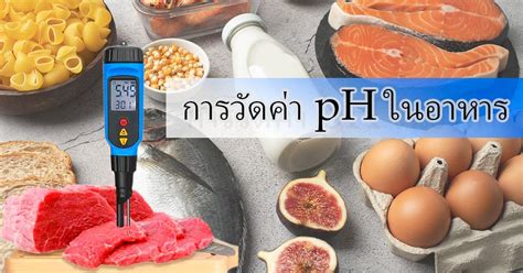 การวัดค่า Ph ในผลิตภัณฑ์อาหาร เทคนิคและอุปกรณ์ด้วยความแม่นยำ