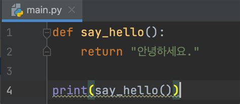 파이썬 함수 값 반환 return 파이썬 입문 Python EVERDEVEL