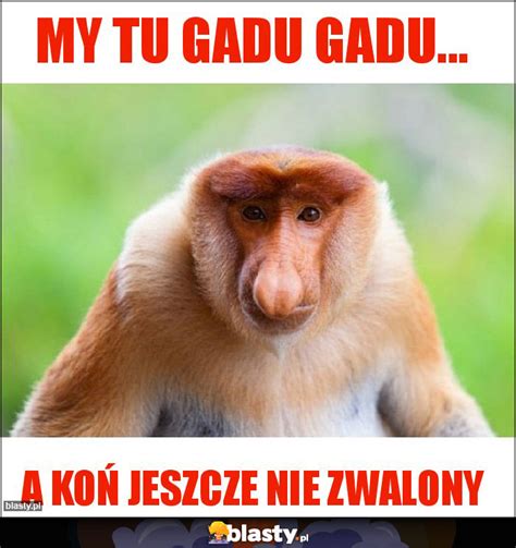 Aplikacja Robiaca Nagie Zdjecia Zsrsrodawlkp Pl