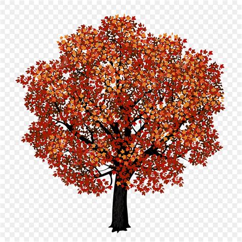 단풍 나무 일러스트 단풍 나무 단풍 나무 Png 일러스트 및 Psd 이미지 무료 다운로드 Pngtree