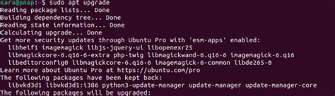 How To Use Apt Package Manager Phoenixnap Kb