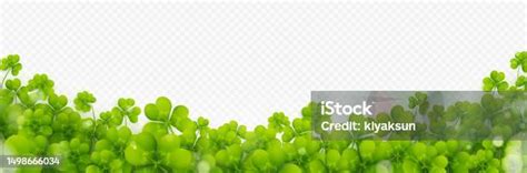 토끼풀 클로버 네 잎 벡터 테두리 패턴 네잎 클로버에 대한 스톡 벡터 아트 및 기타 이미지 네잎 클로버 클로버 모양 3차원 형태 Istock