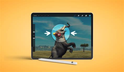 How To Copy And Paste In Procreate Canvas Layers And Selections Logos By Nick