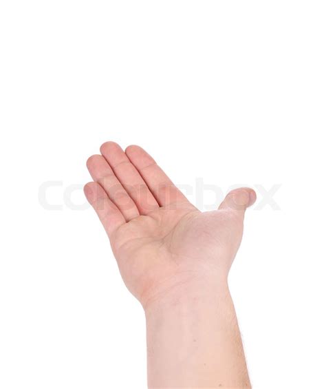 Öffnen Sie die Palm-Handhaltung der männlichen Hand. | Stock Bild ...