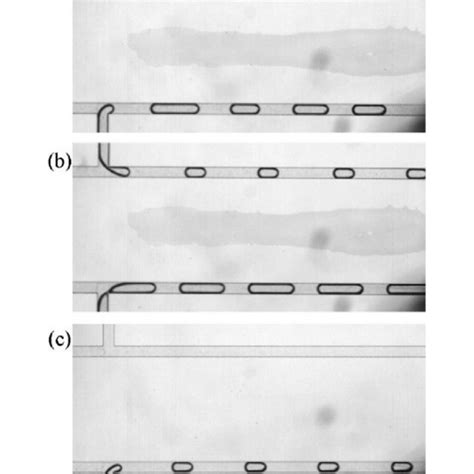 Three Flow Patterns In The Process Of Bubble Formation In Parallel Download Scientific Diagram