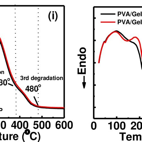 X Ray Diffraction Patterns Of Pva Gelatin Hydrogel And Pva Gelatin Agnp Download Scientific
