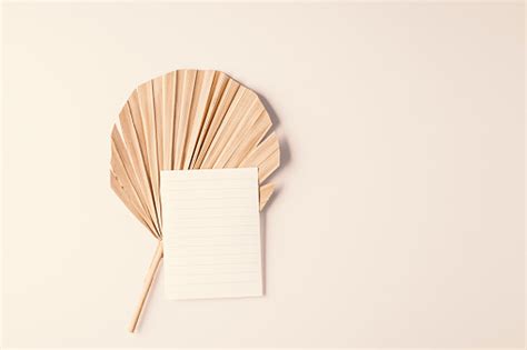 베이지색 배경에 모형 복사 공간이 있는 빈 종이 시트 카드는 건조한 야자수 잎을 동반했습니다 플랫 레이 평면도 미니멀 비즈니스 브랜드 템플릿 0명에 대한 스톡 사진 및 기타