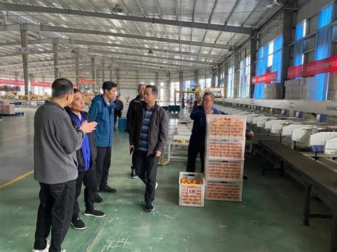 麻阳县政协党组书记欧阳海峰等一行，莅临辰颐物语产业园现场考察园区领导处理