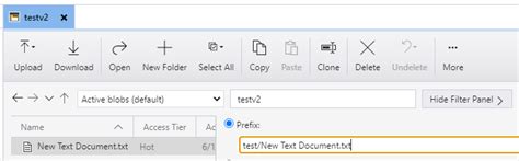 No File Shows After Pasting The Path Of One File In One Folder To