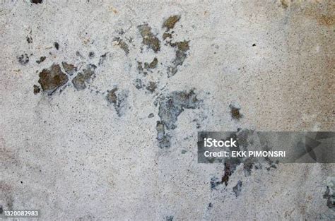 에라초 바닥은 매끄러운 질감 천연 돌 화강암 대리석 석영 콘크리트모자이크 바닥의 사실적인 벡터 패턴 클래식 한 이탈리아 바닥 장식 렌더링 인쇄를 위한 반복 가능한 디자인 0