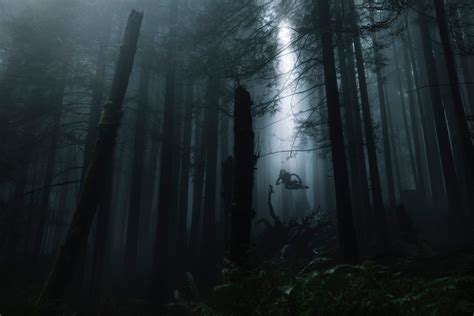 Video And Gallery Lightfall A Journey In Photography With Sterling