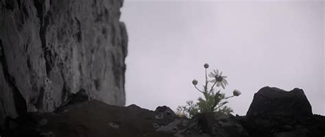 Antonio Bray On Linkedin Well A Response Had To Be Given To The