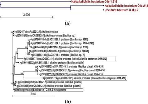 A Sequence Similarity And Identification Of Diverse Sequences Of Download Scientific Diagram