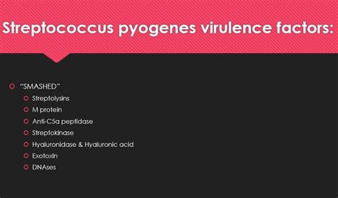 Virulence Factors Of Streptococcus Pyogenes Acute Disease Antigen