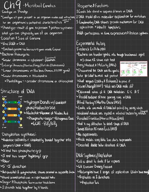 Ch 9 Microbial Genetics Ch9 Microbial Genetics PropertiesB