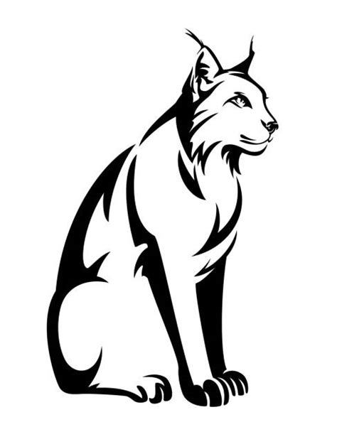 Best Lynx Illustrations Royalty Free Vector Graphics And Clip Art Istock