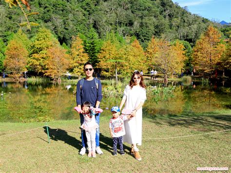 ★苗栗★南庄雲水度假森林，浪漫落羽松和馬卡龍民宿 乙葉猴的美麗世界