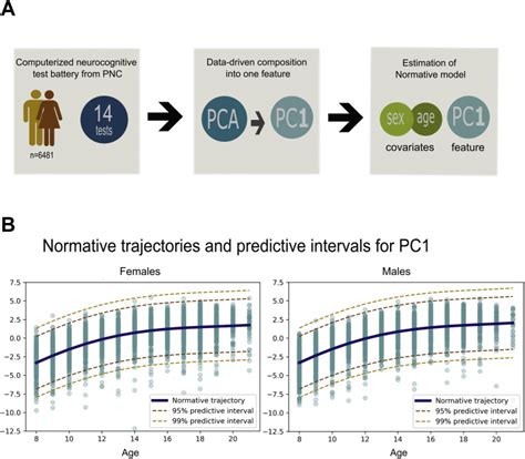 Mapping Normative Trajectories Of Cognitive Function And Its Relation