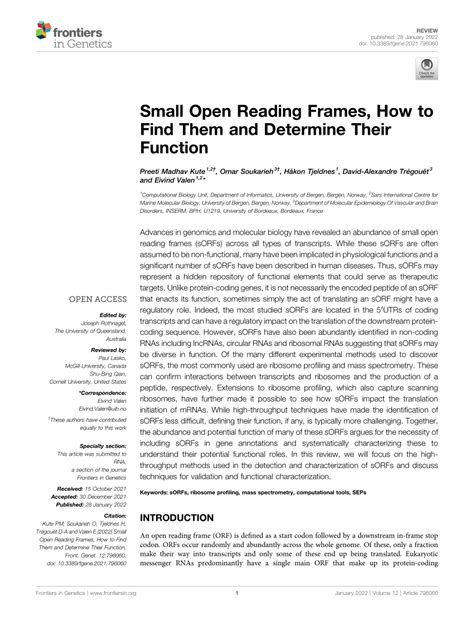 Pdf Small Open Reading Frames How To Find Them And Determine Their Function