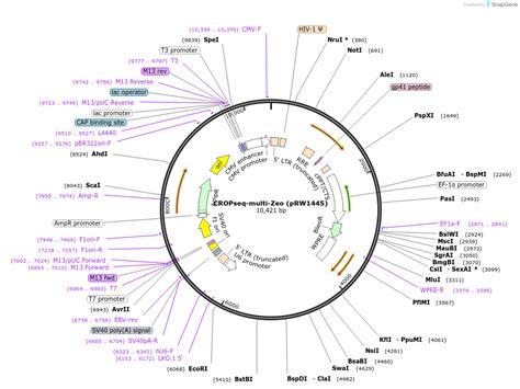 Addgene Cropseq Multi Zeo Prw1445