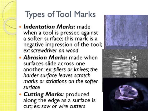 Tool Mark Evidence Collection At Dennis Fleming Blog