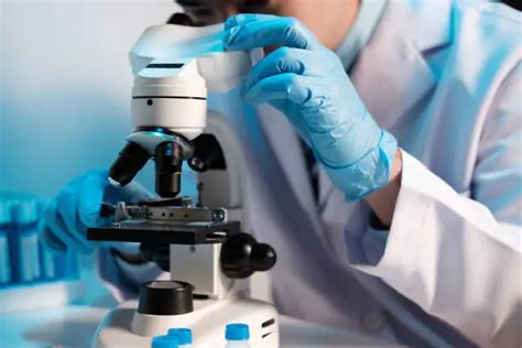 750 Images De Microscope Hd Téléchargez Des Images Gratuites Sur