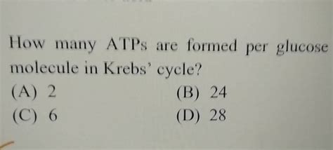 How Many Atps Are Formed Per Glucose Molecule In Krebs Cycle Filo