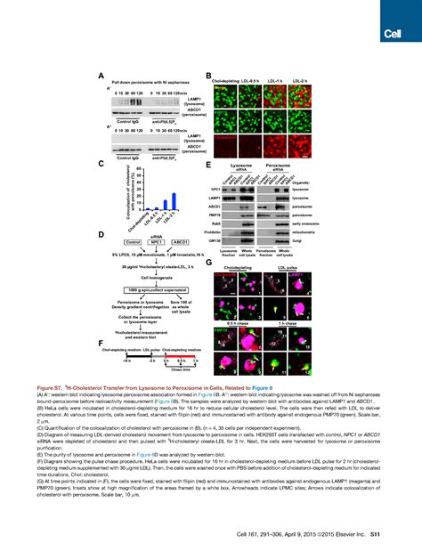 热烈祝贺武汉大学宋保亮团队胆固醇研究成果在cell上发表化工仪器网