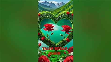 Taish Bodar Dijain Sin He Nimki Dijain Like Youtube